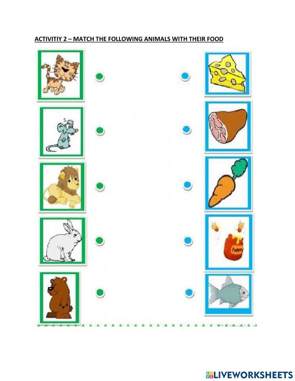 Grouping Animals by the way they eat online exercise for | Live Worksheets