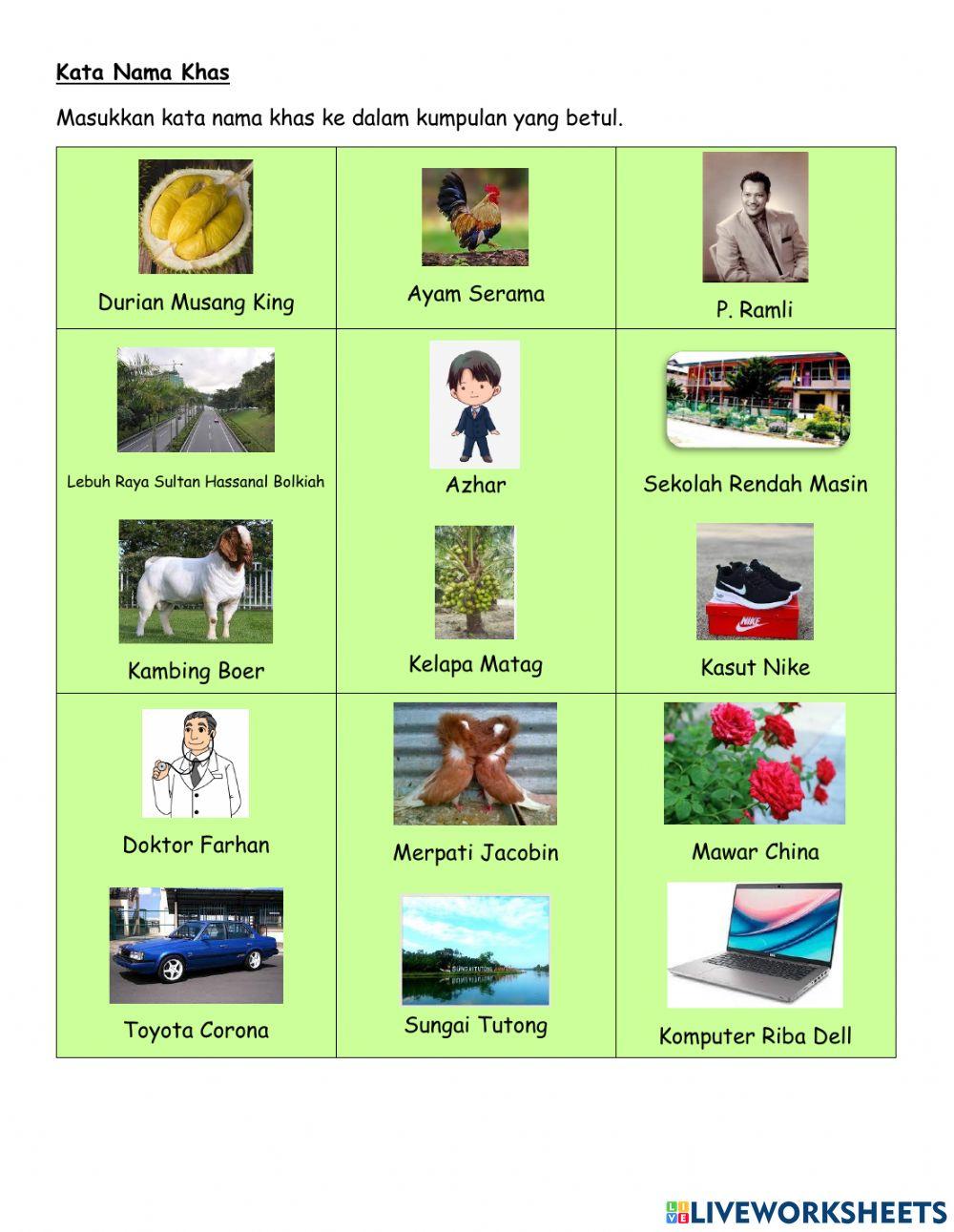 Week 7 1872764 | cikguctrokiah | Live Worksheets