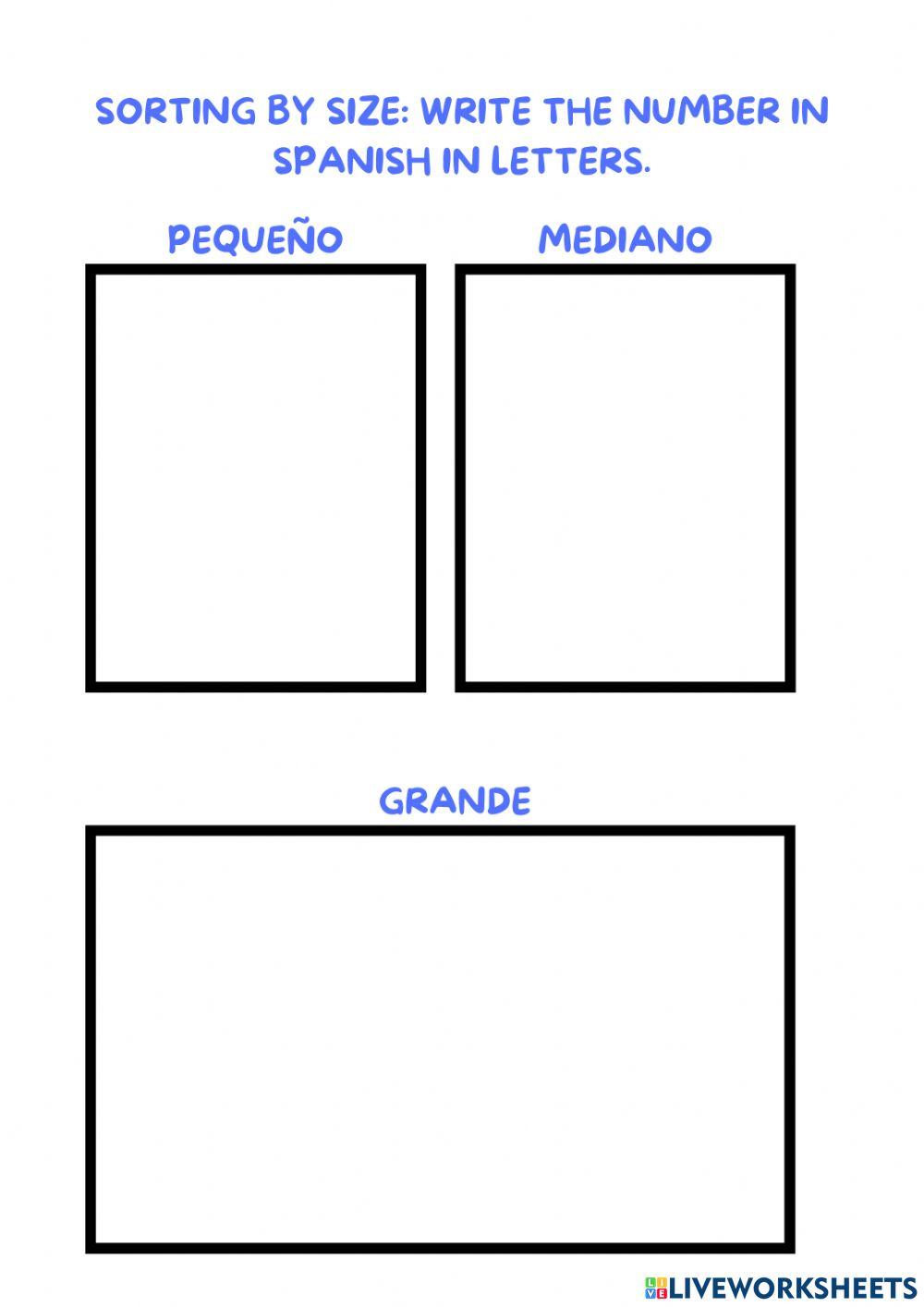 Sizes in Spanish worksheet | Live Worksheets