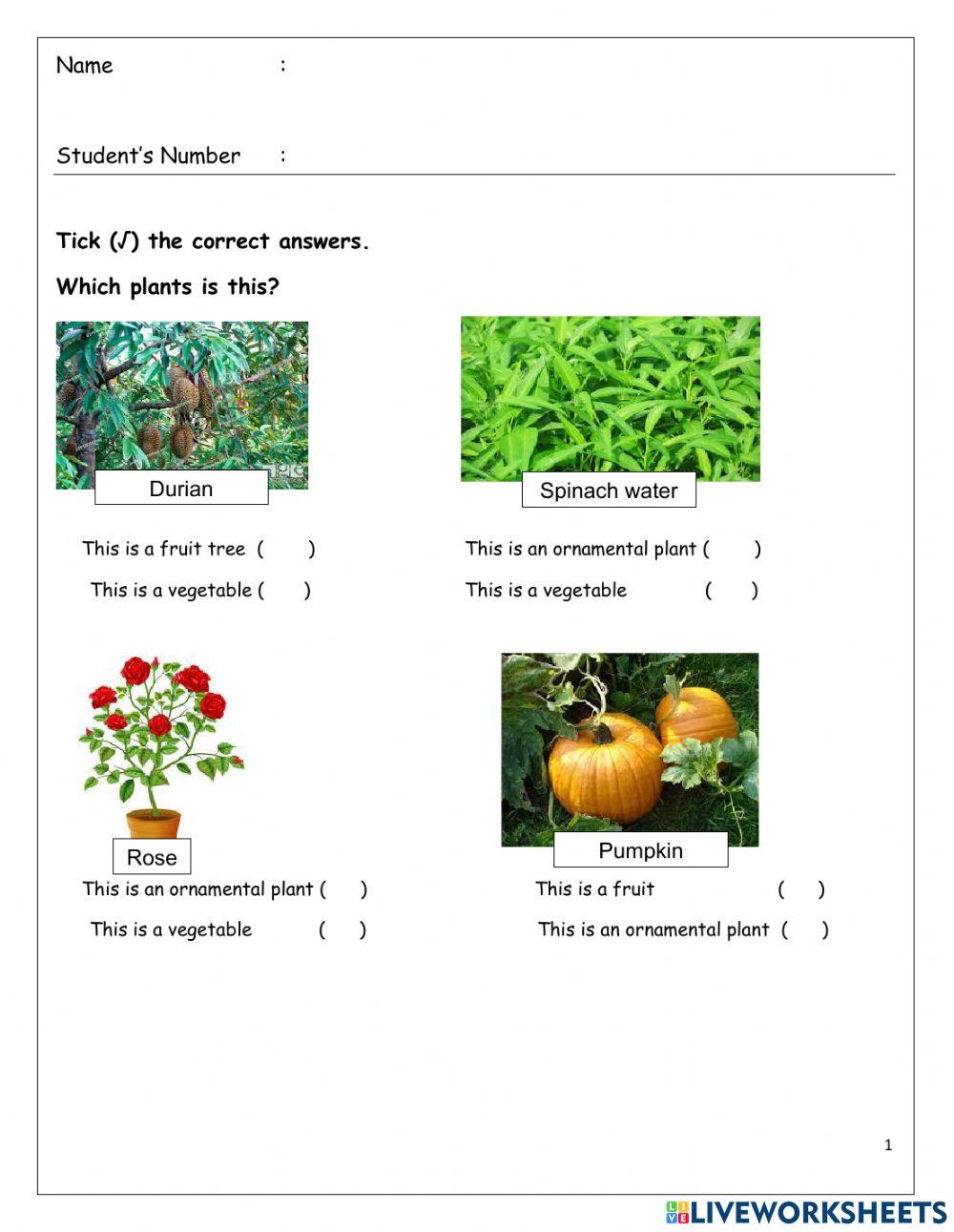1874446 | Growing Plants | Ms_Feby | LiveWorksheets