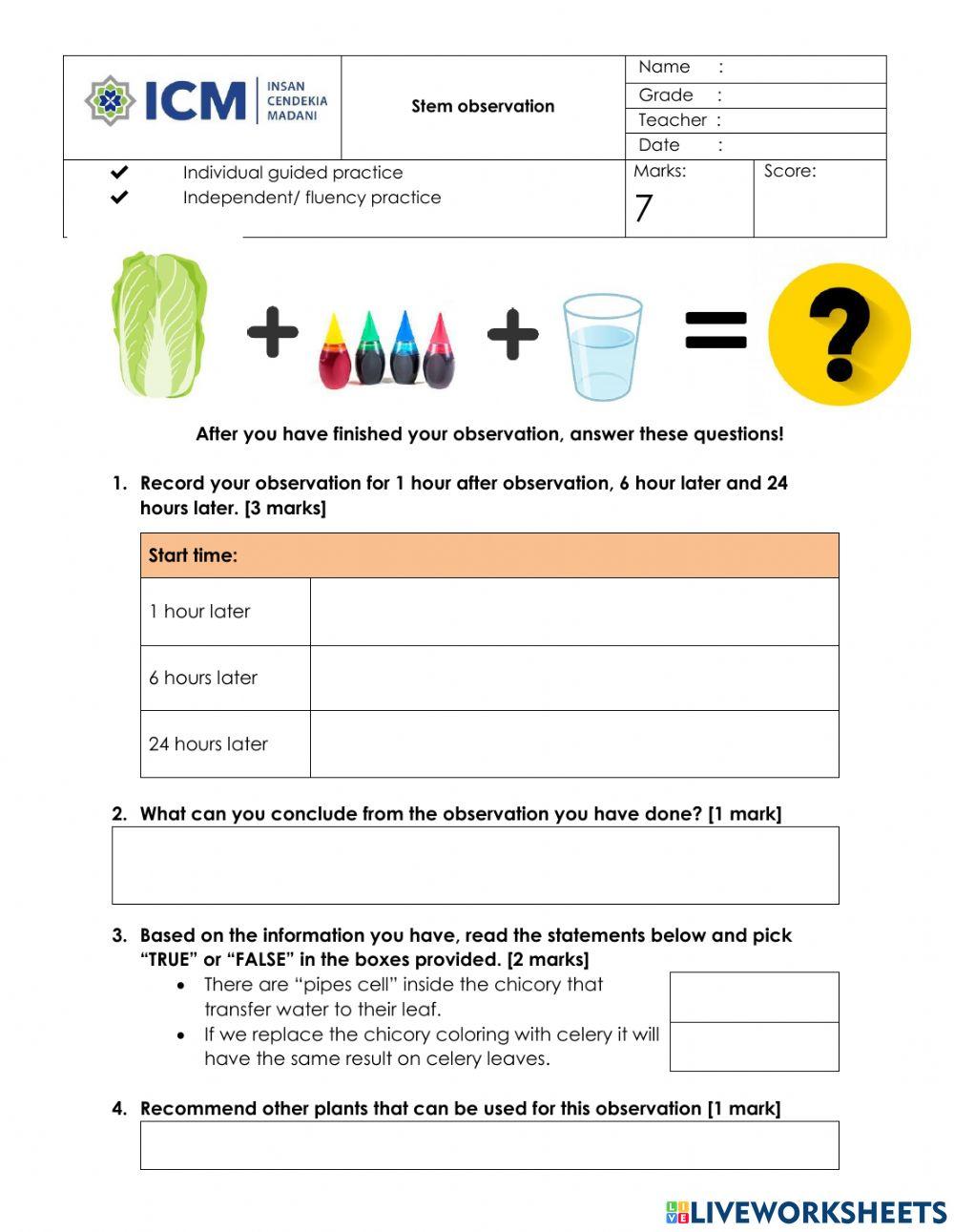 Stem Observation 1876337 | TyaFemilia | Live Worksheets