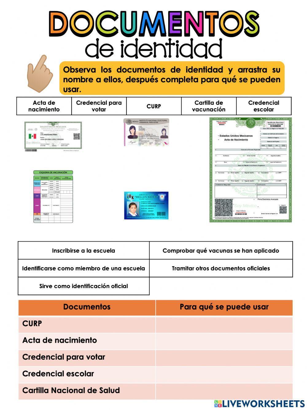 Documentos de i… | Free Interactive Worksheets | 1874936