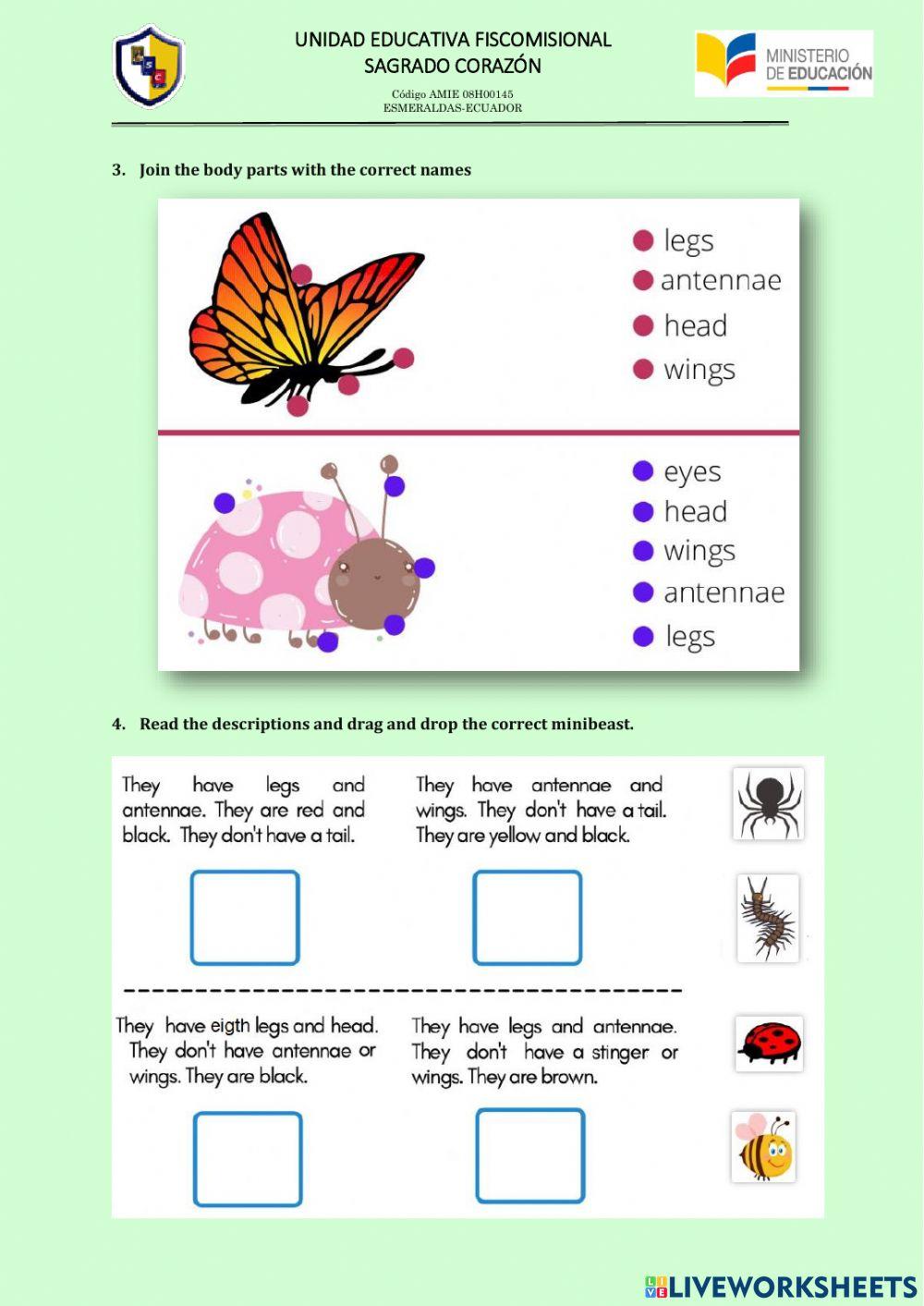 Minibeasts | Free Interactive Worksheets | 1875954