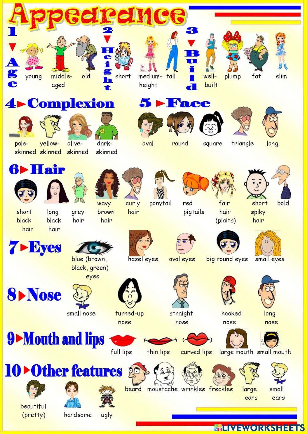 Appearance 4023370 | molofinm | Live Worksheets