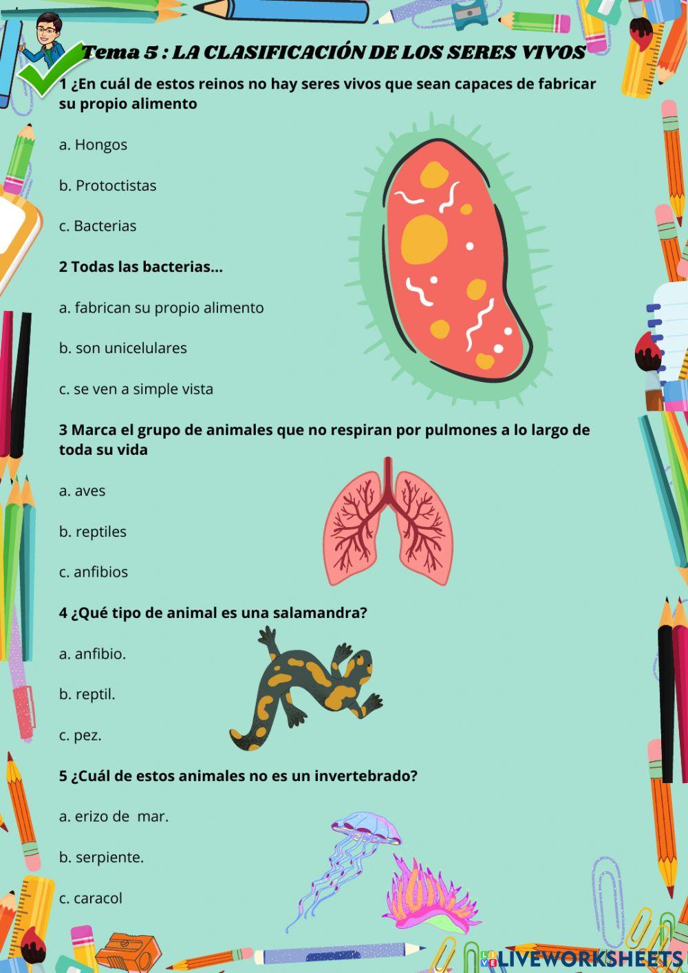 Clasificación de los seres vivos interactive activity for sexto | Live ...