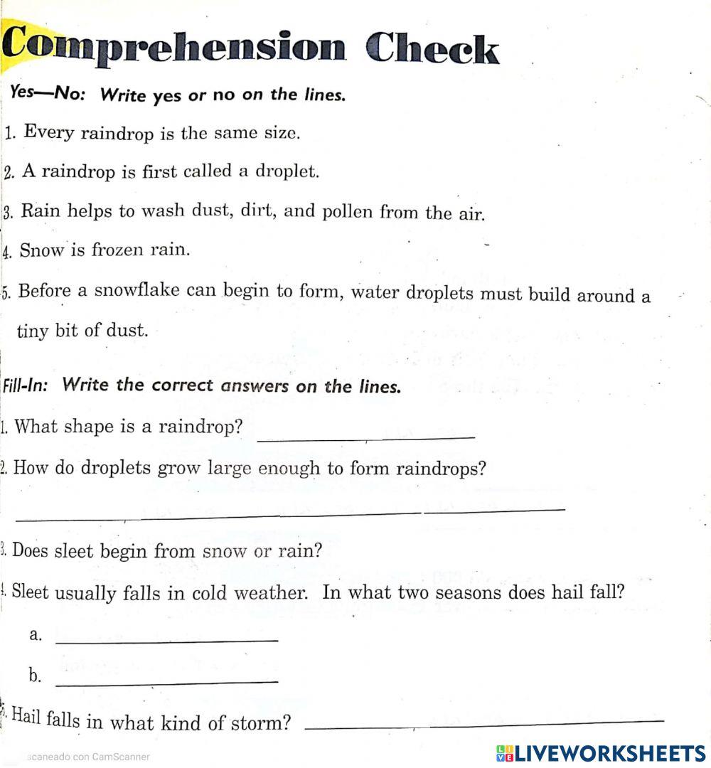 Rain-Snow-Sleet… | Free Interactive Worksheets | 1877893