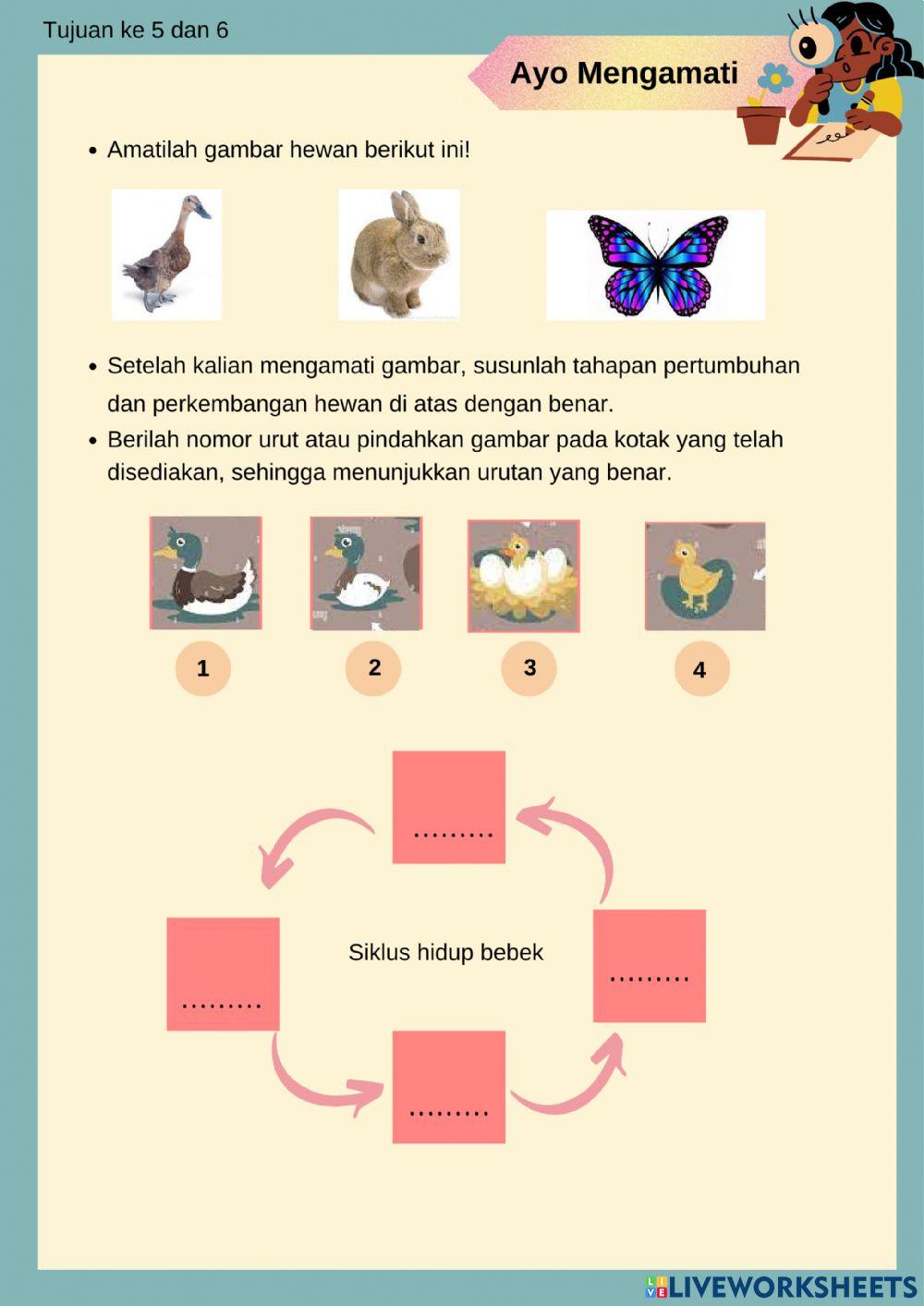 Aku Dan Cita-Citaku online worksheet | Live Worksheets