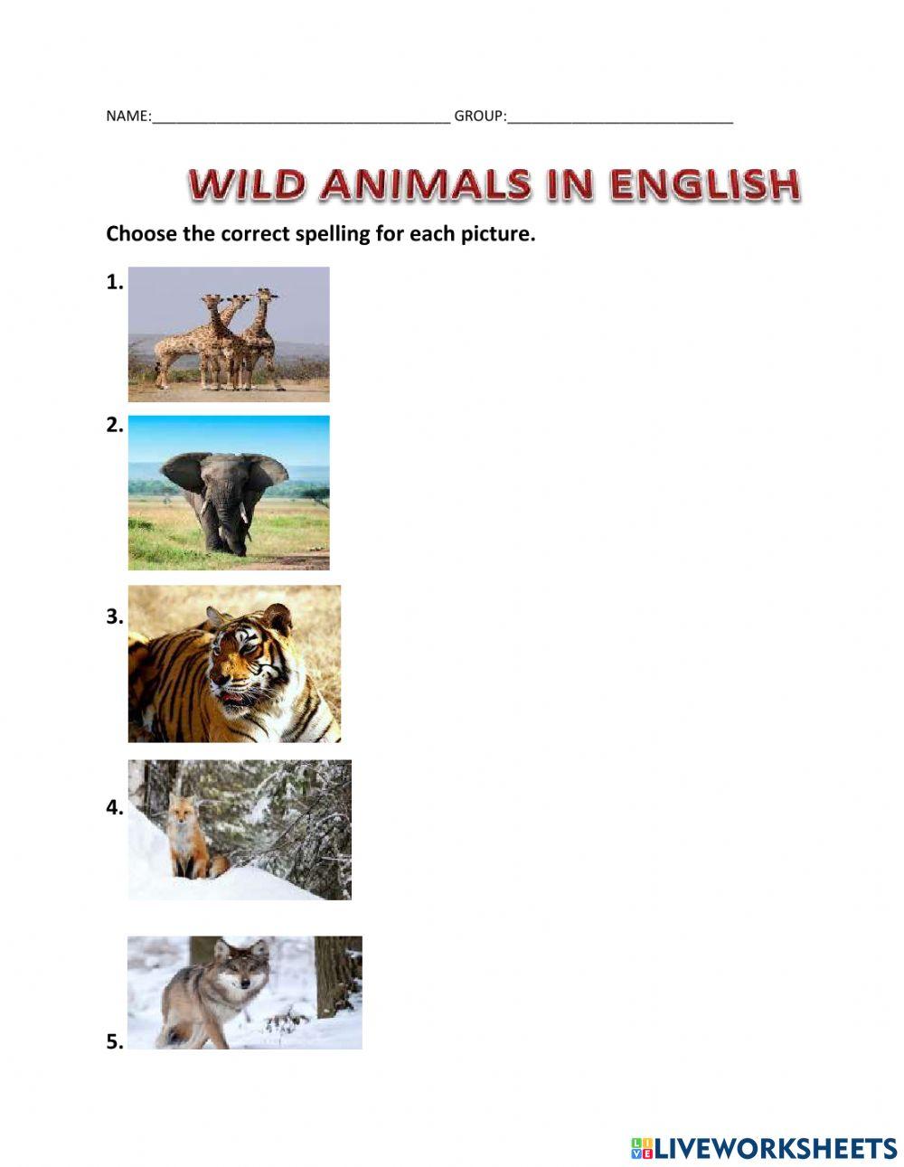 Wild animals in english worksheet | Live Worksheets