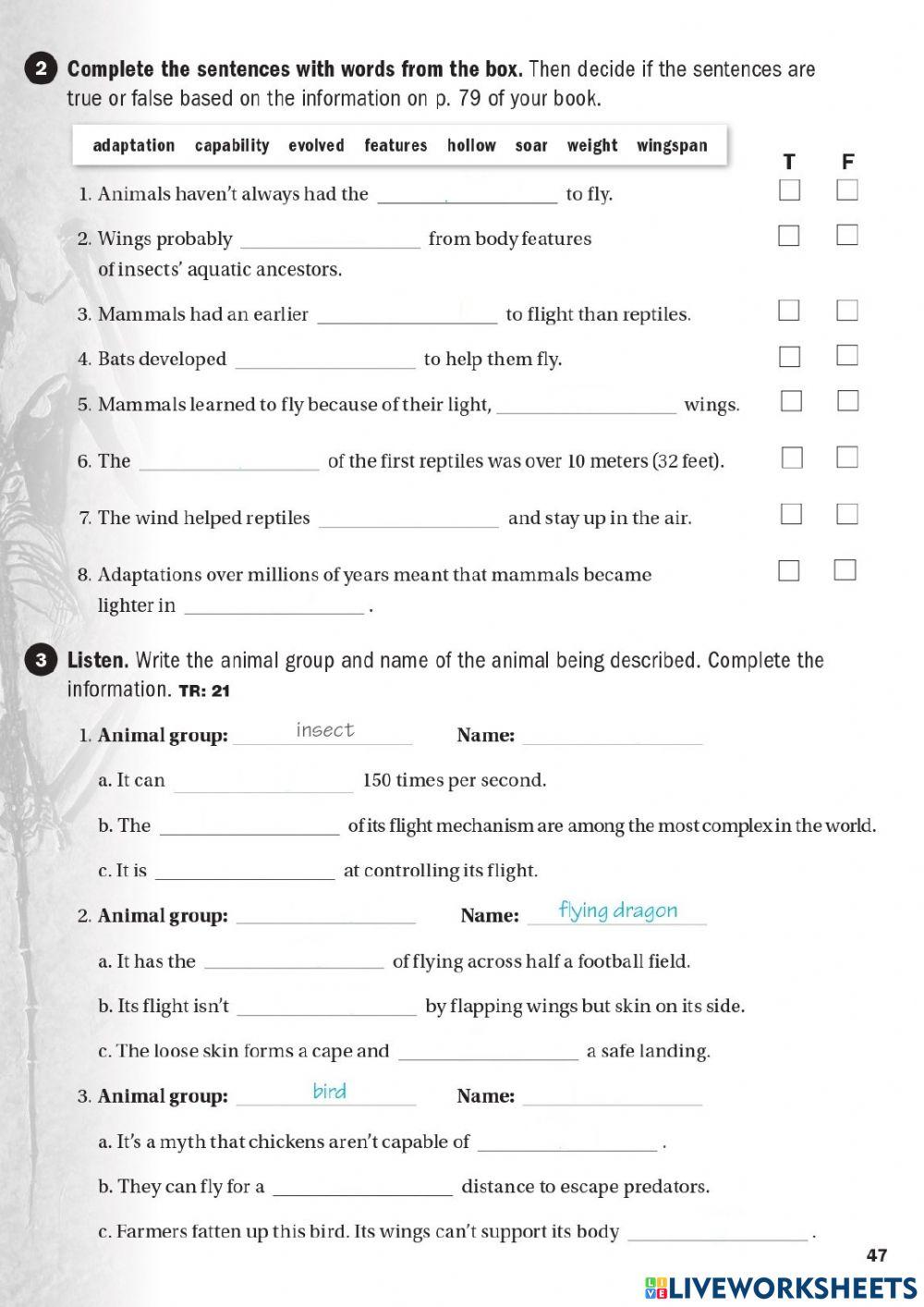 U5 Vocabulary worksheet | Live Worksheets