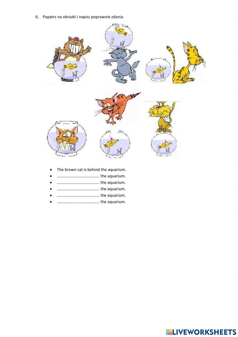 Junior Explorer… | Free Interactive Worksheets | 5301879