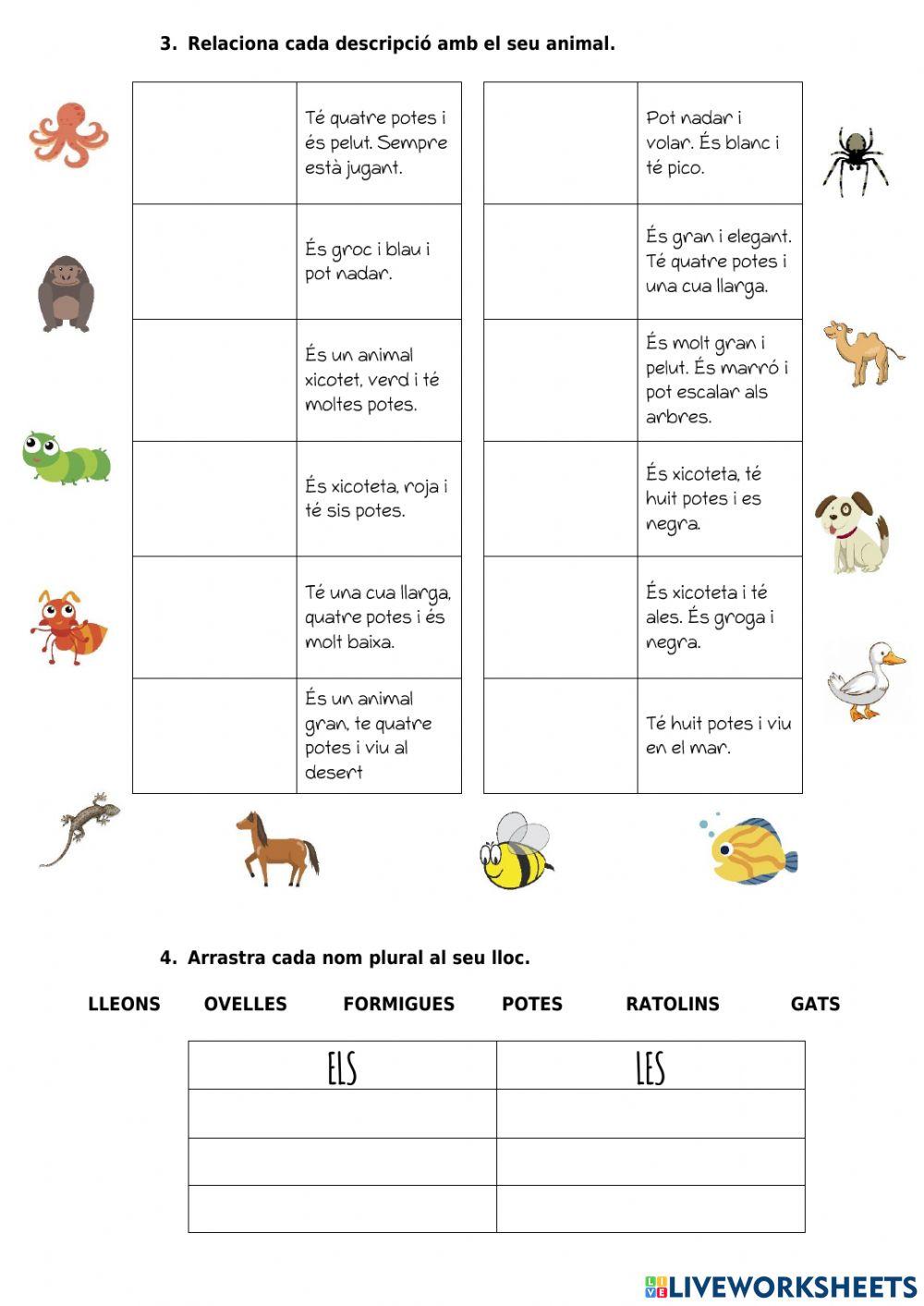 Repàs els anima… | Free Interactive Worksheets | 1880830