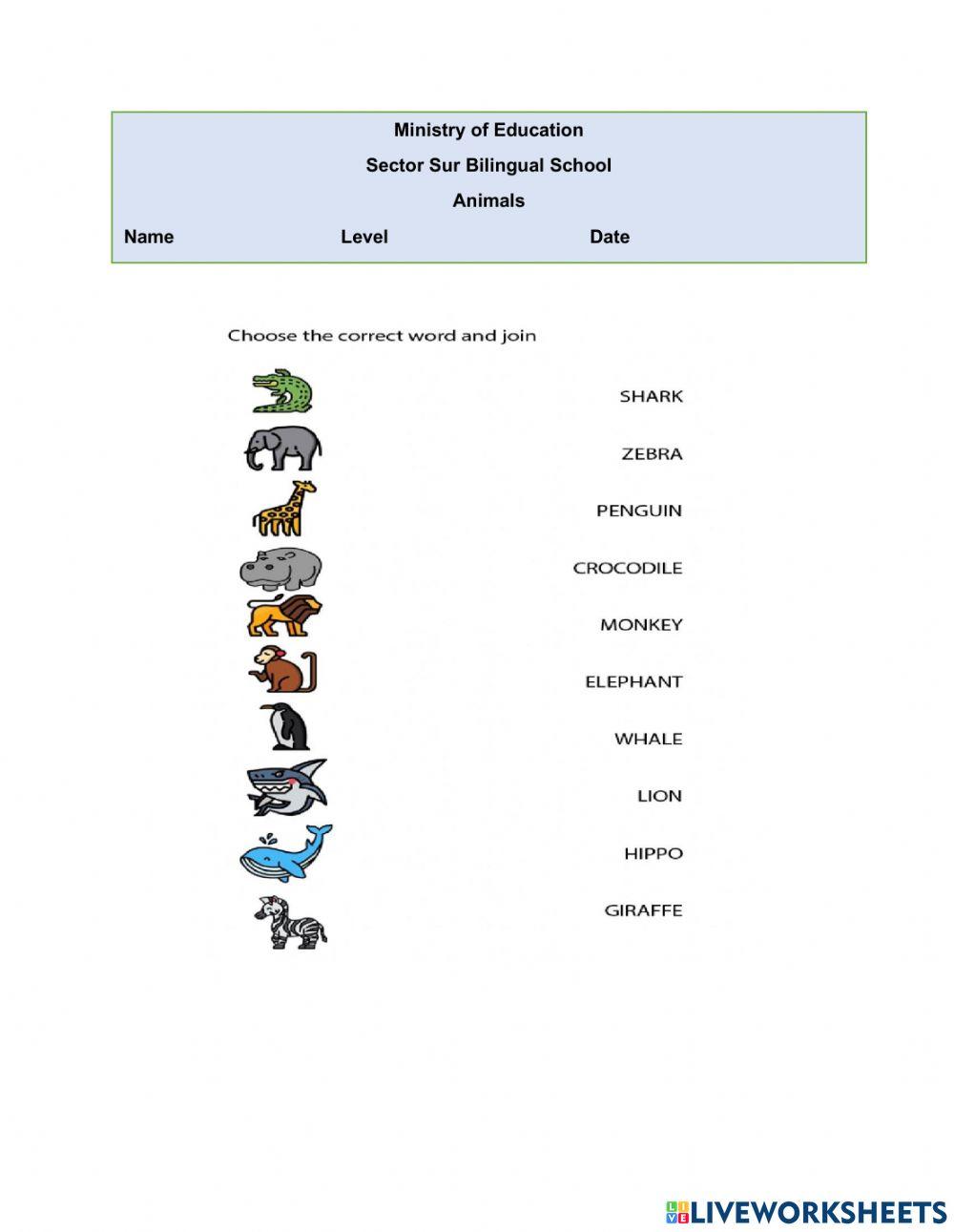 Animals online exercise for | Live Worksheets