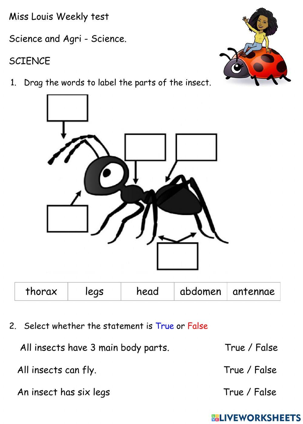 Weekly Science 2 worksheet | Live Worksheets
