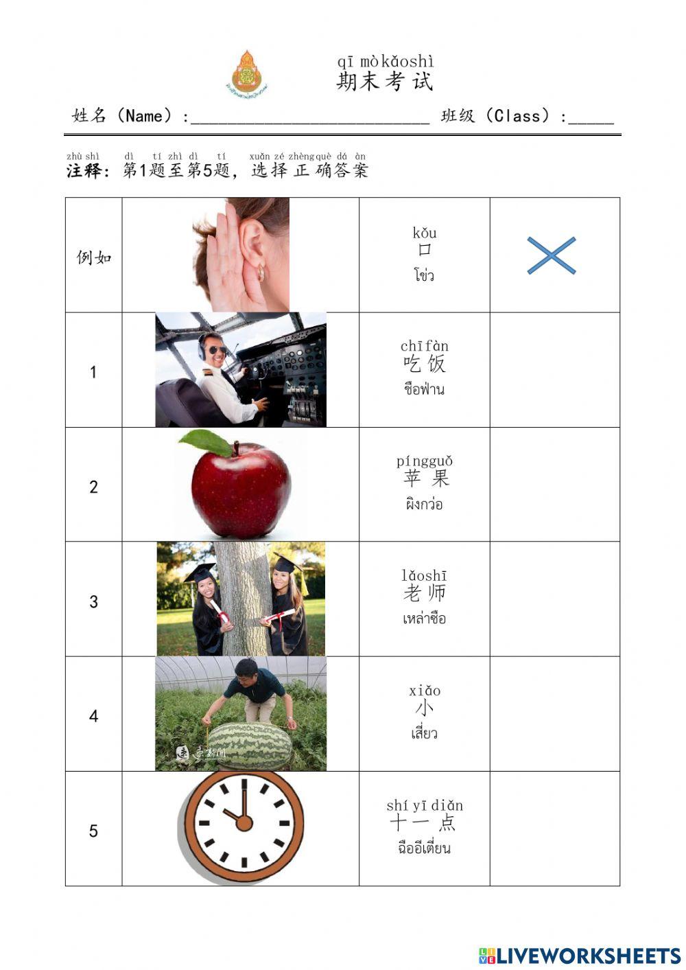 YCT Reading and Writting worksheet | Live Worksheets