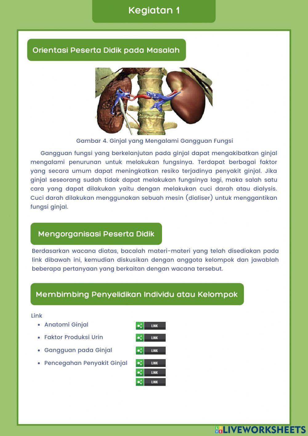 Lkpd sistem ekskresi ginjal worksheet | Live Worksheets
