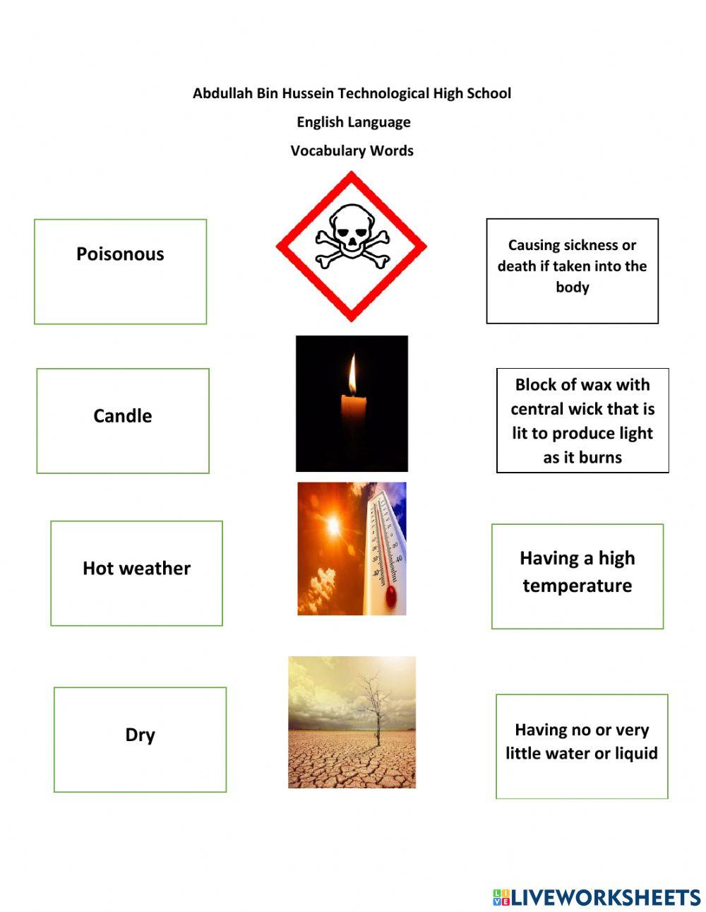 VOCABULARY WORDS interactive worksheet for GRADE 10 | Live Worksheets