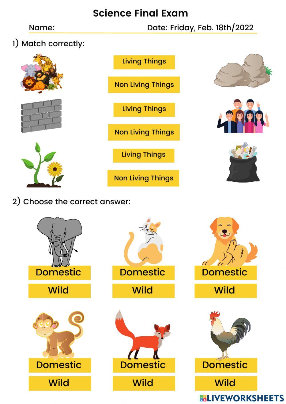 Science Final E… | Free Interactive Worksheets | 1878261