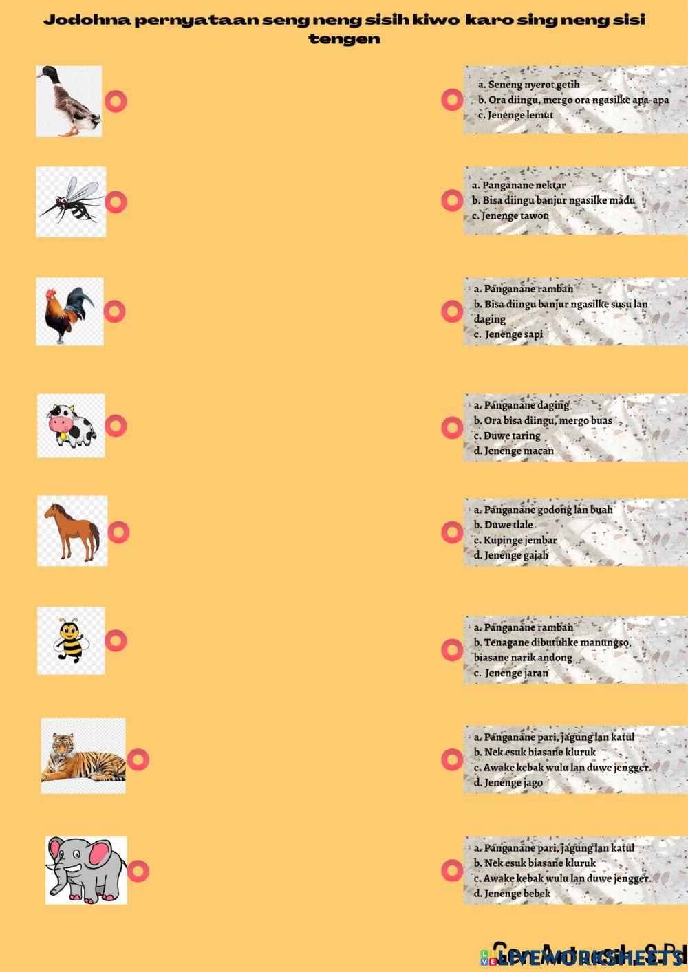 Jeneng kewan exercise | Live Worksheets