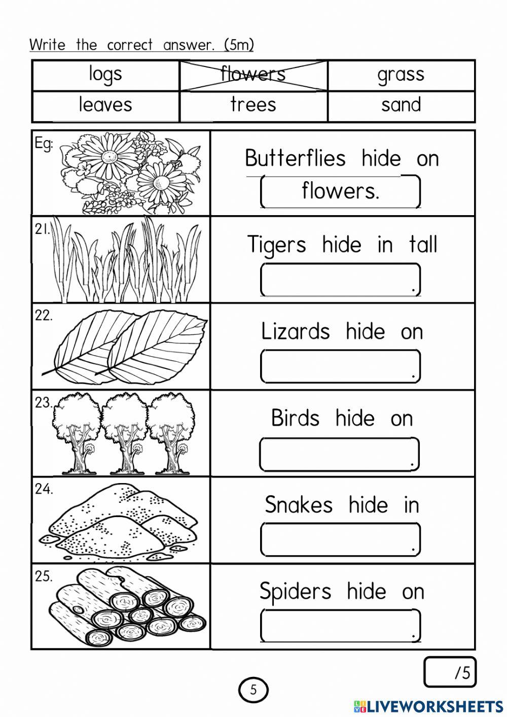 Year 1 assessme… | Free Interactive Worksheets | 1883827