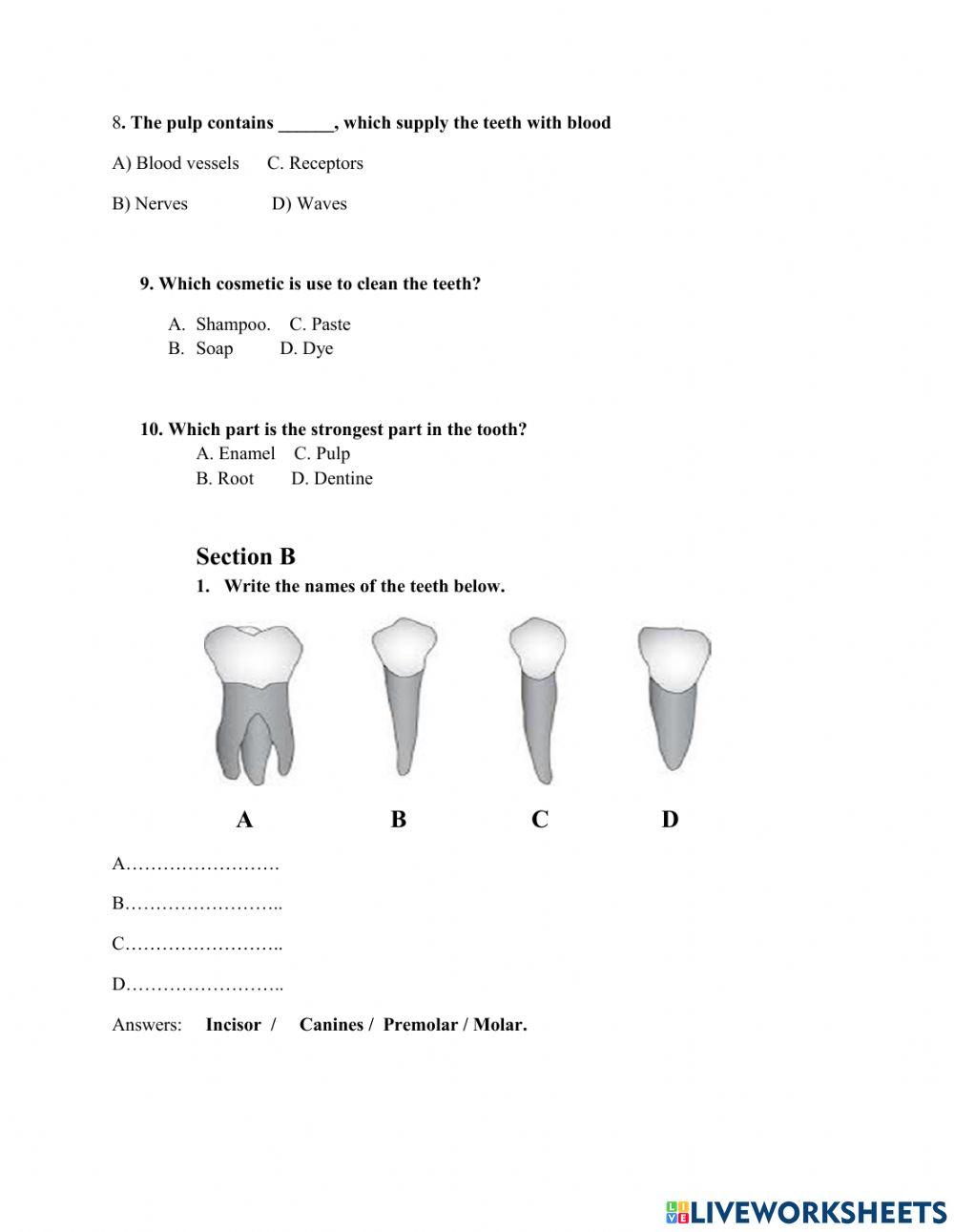 the teeth online exercise for | Live Worksheets