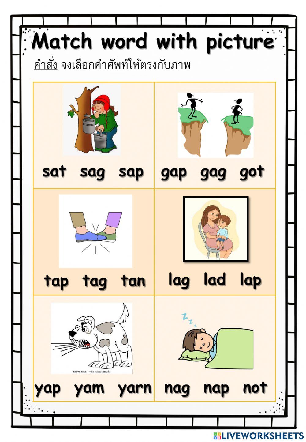 Ap word family online activity | Live Worksheets
