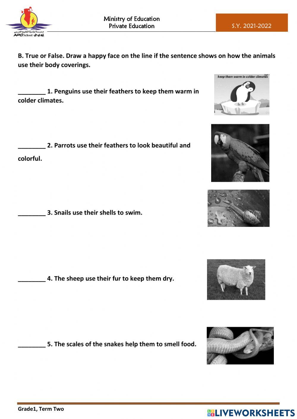 1885037 | Body Coverings | Ms.Sherlyn | LiveWorksheets