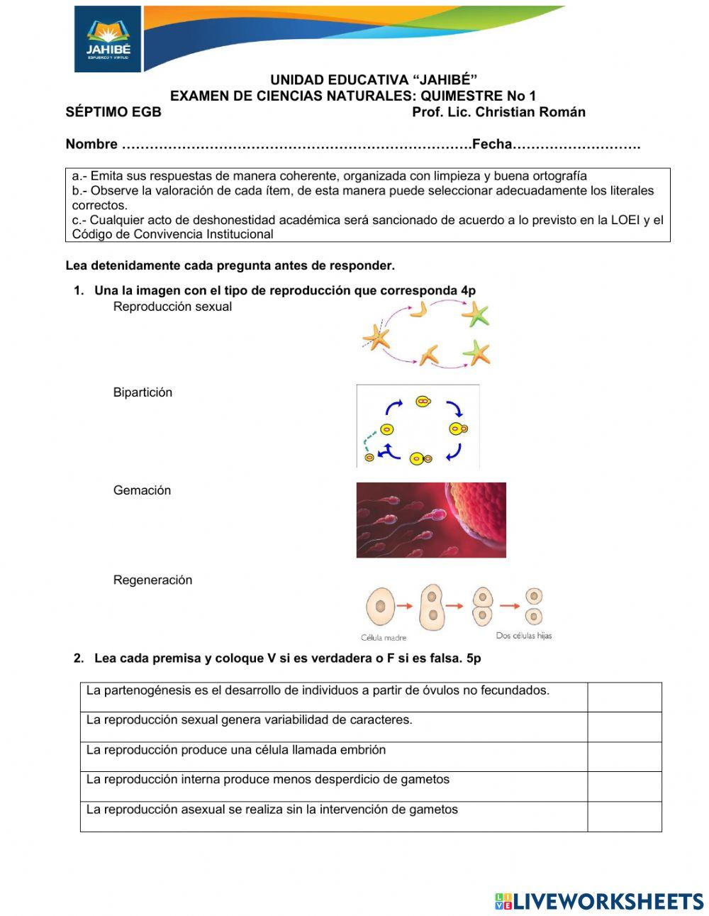 Examen séptimo egb ccnn worksheet | Live Worksheets
