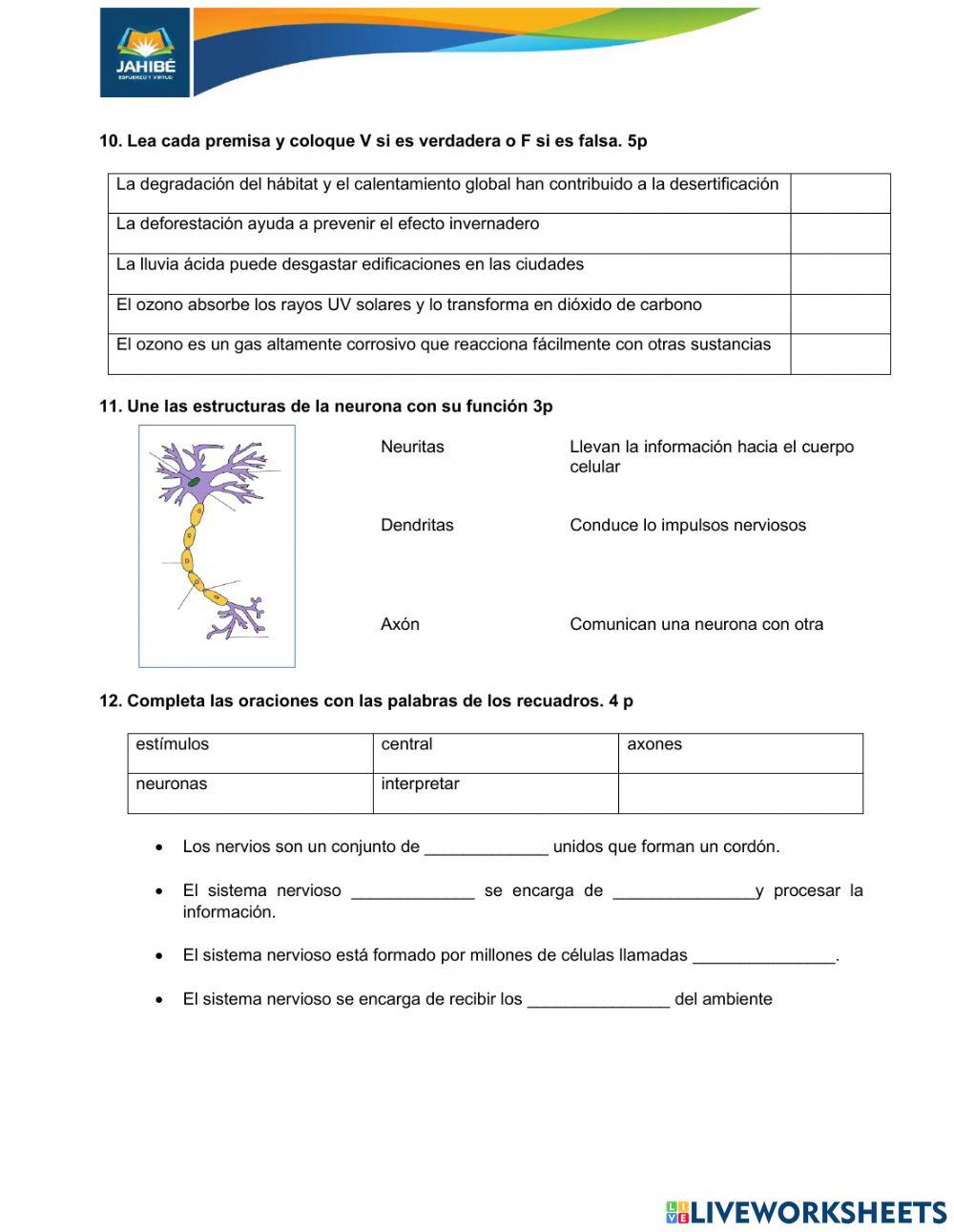 Examen séptimo egb ccnn worksheet | Live Worksheets