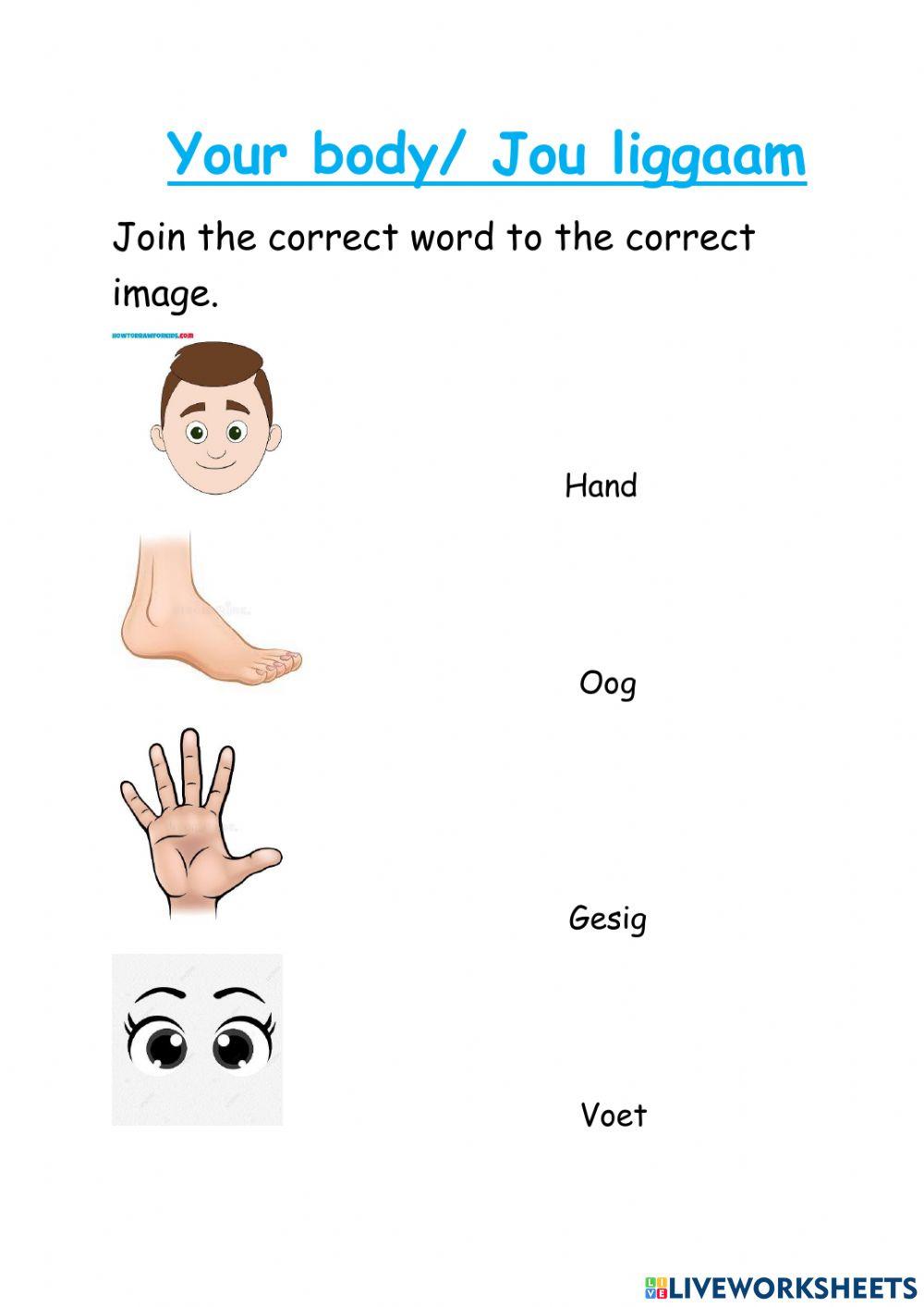 grade 1: worksheet 1 worksheet | Live Worksheets