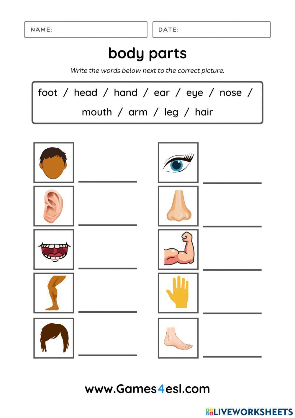 Body part online exercise for | Live Worksheets