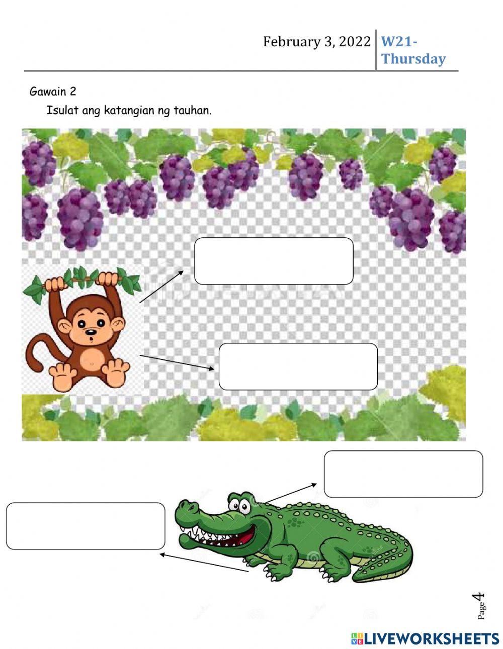 PAGBASA 4089973 | TeacherIrene05 | Live Worksheets