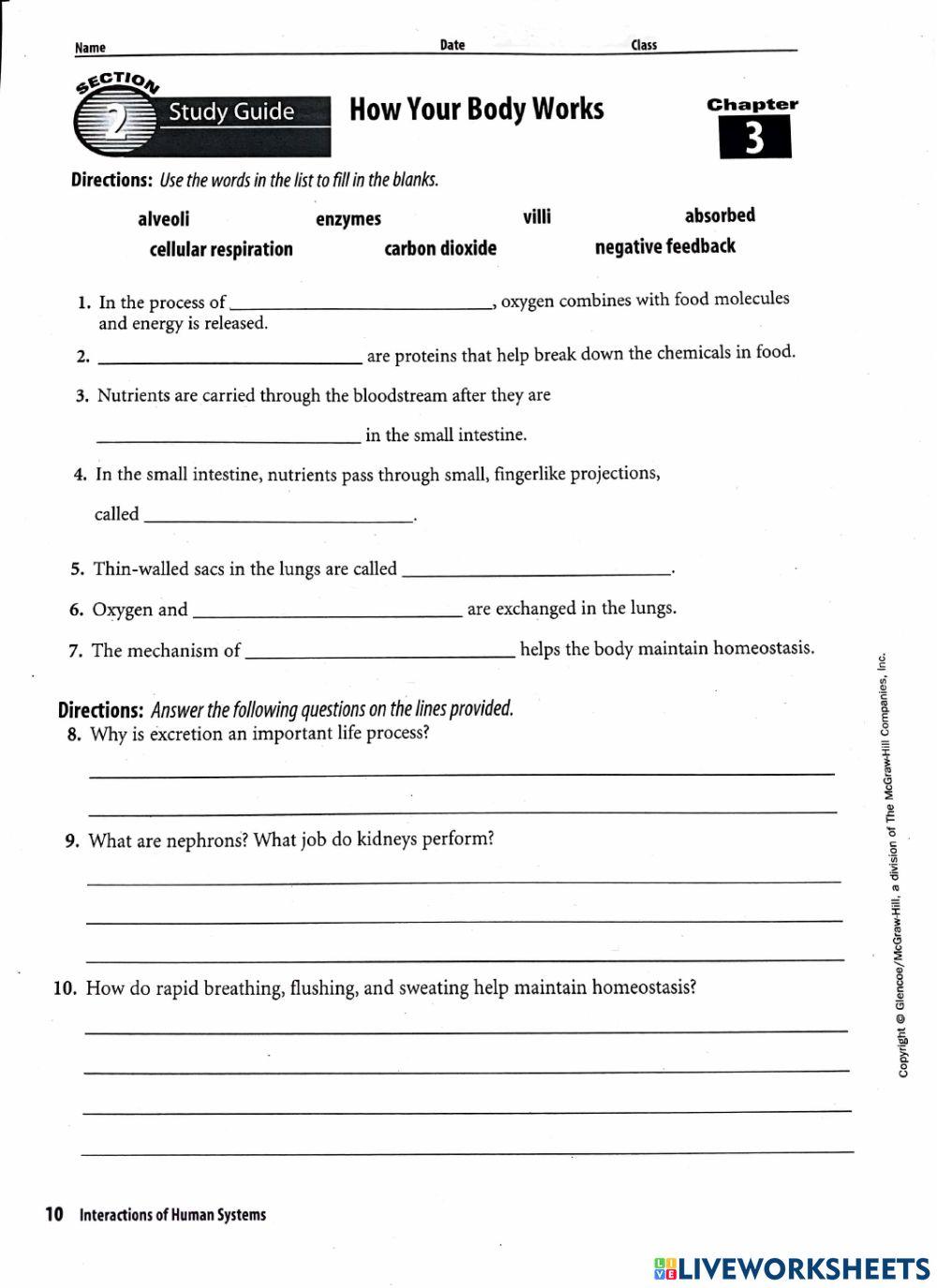 How Does Your Body Work online exercise for | Live Worksheets