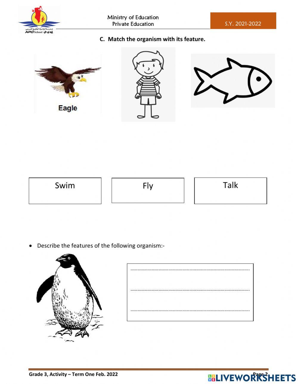 Science online exercise for | Live Worksheets
