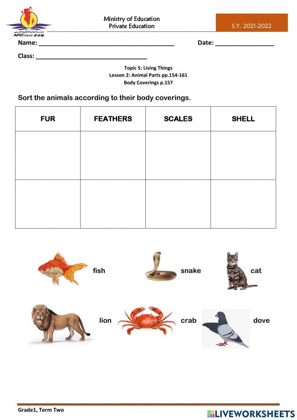 Body Coverings | Live Worksheets