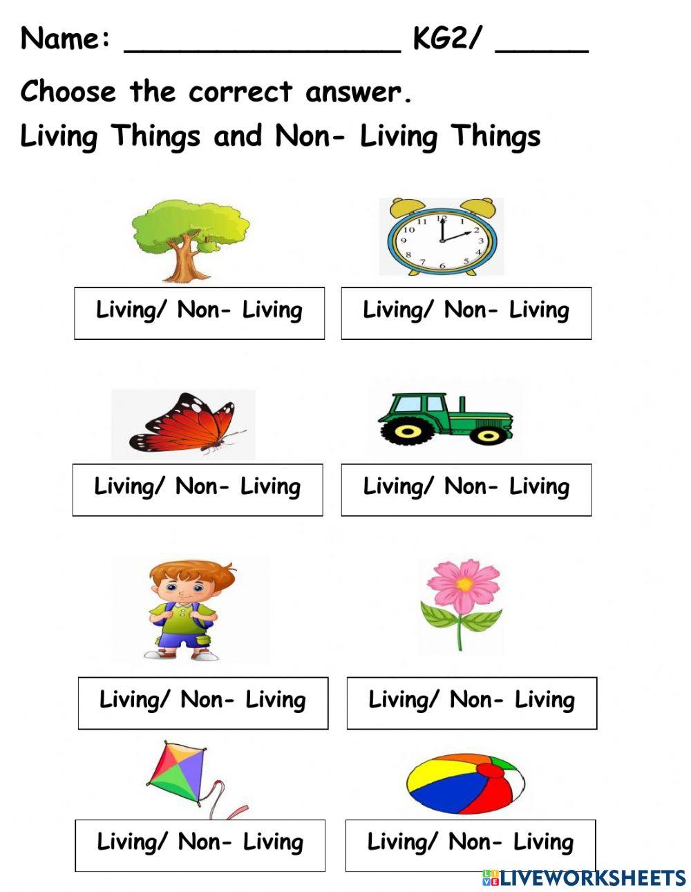 Living and Non Living activity for kindergarten | Live Worksheets