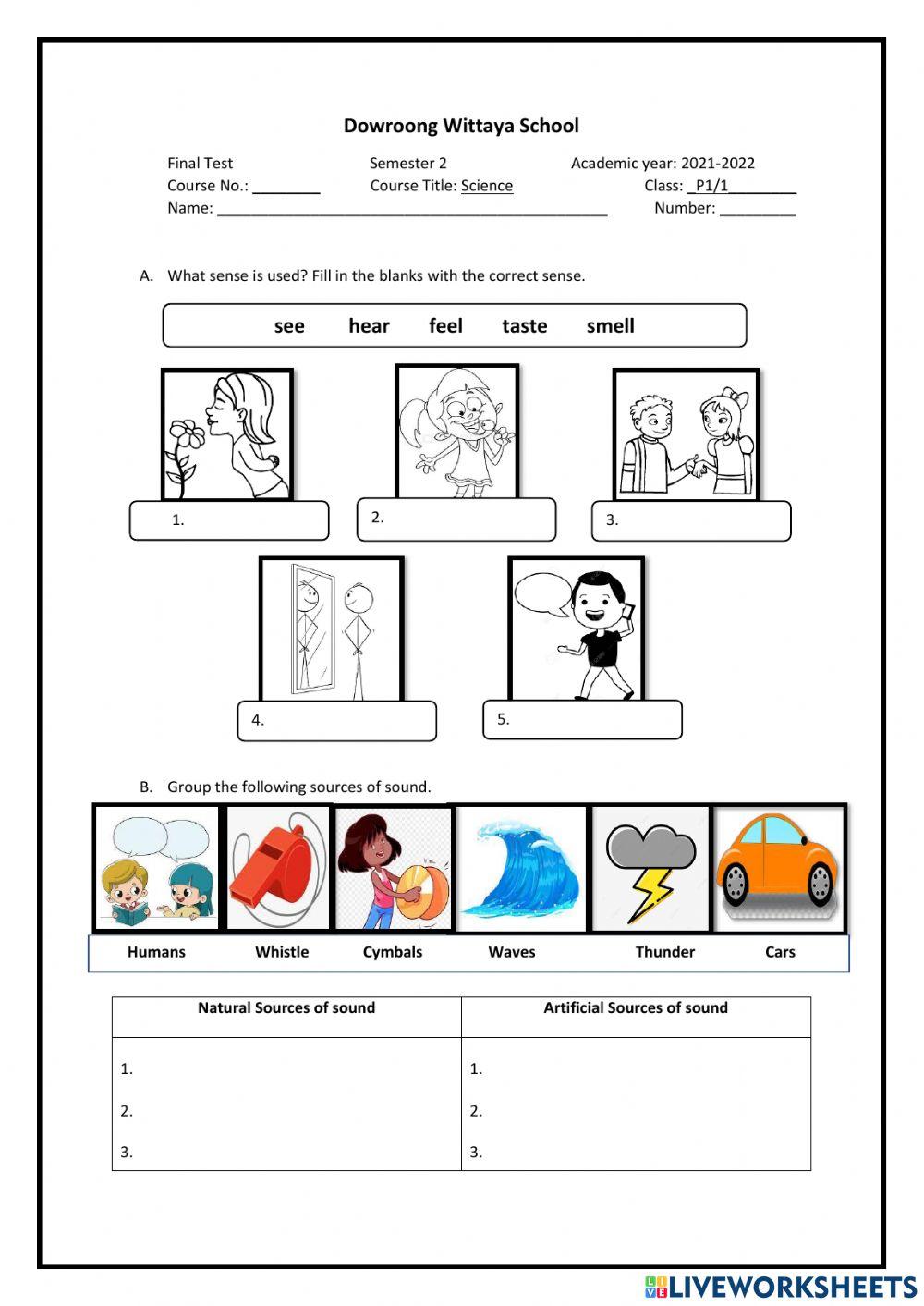 P1 science test worksheet | Live Worksheets
