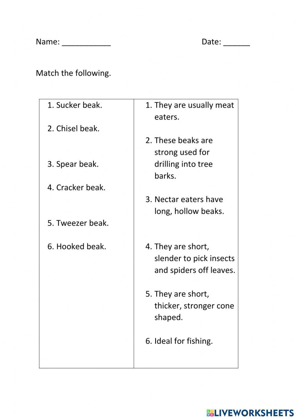 birds beaks online exercise for | Live Worksheets