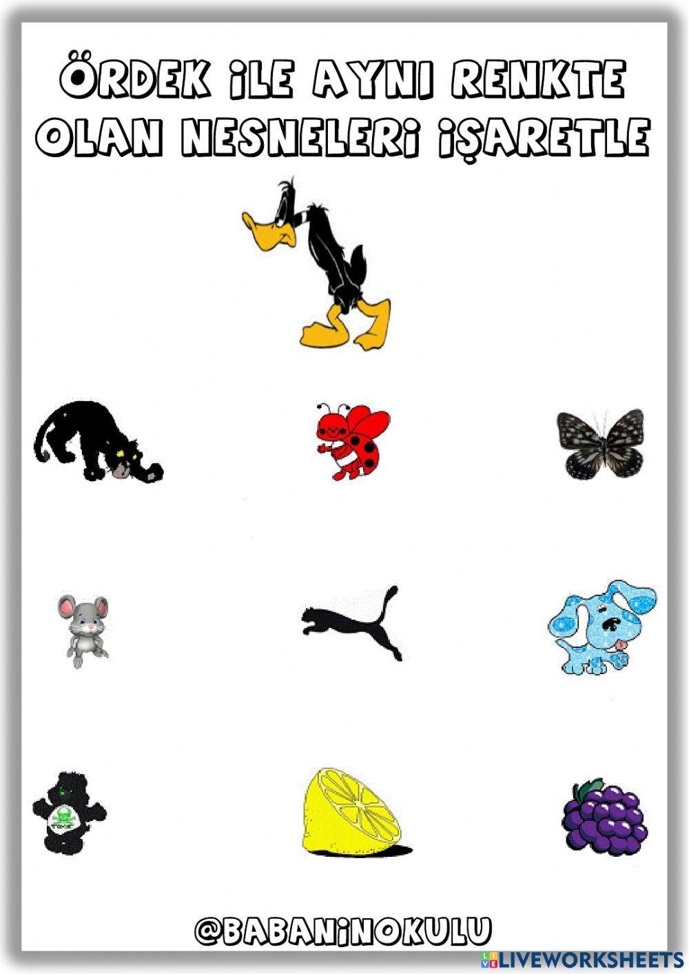 SİYAH RENGİ online exercise for | Live Worksheets