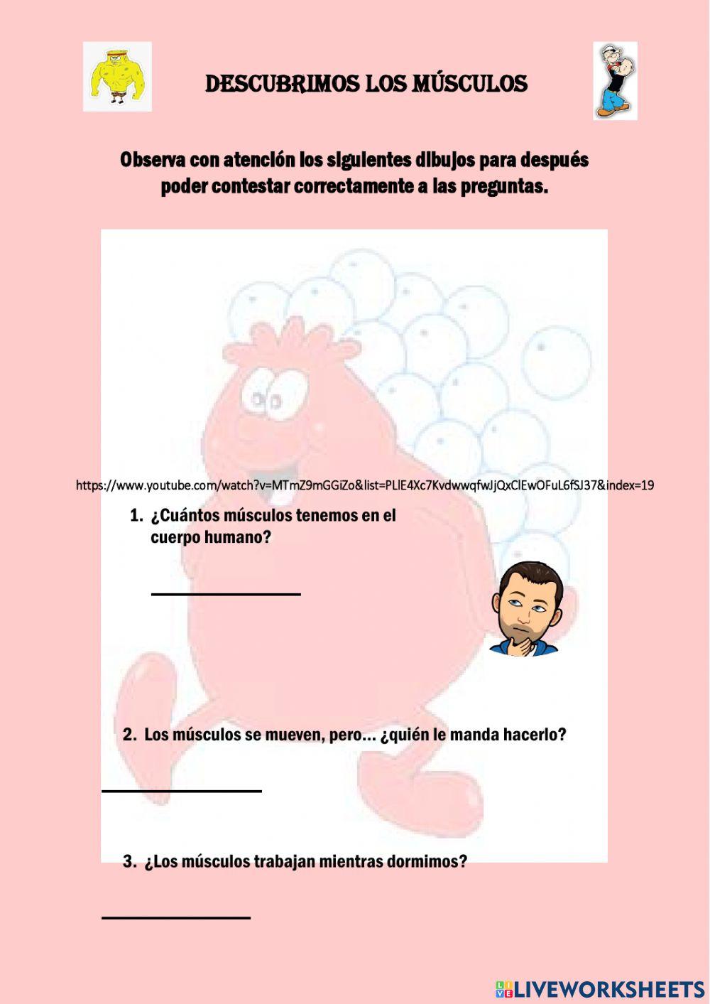 Los músculos. interactive worksheet | Live Worksheets
