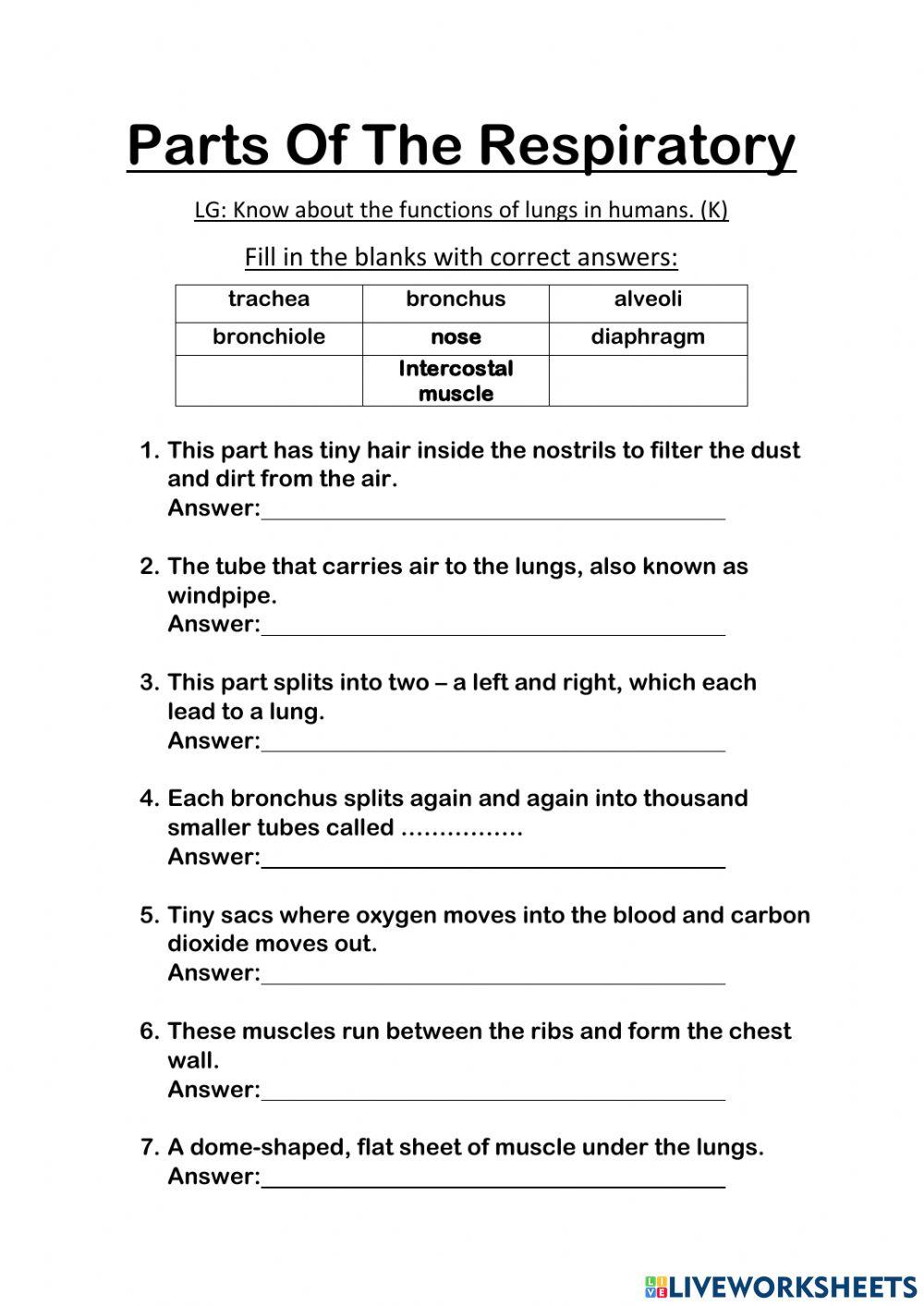 Ipc interactive worksheet | Live Worksheets