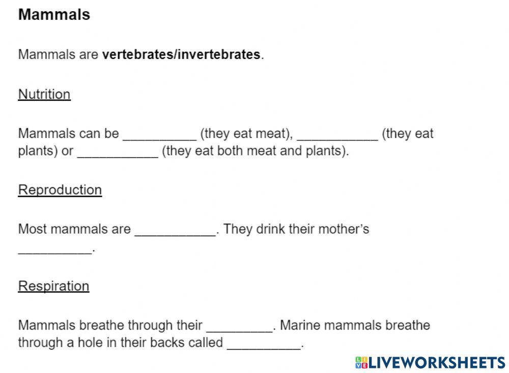 Mammals online exercise for grade 4 | Live Worksheets
