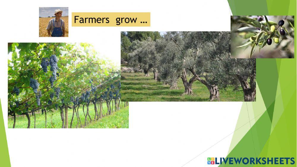 Complete Activities Hills online exercise for | Live Worksheets