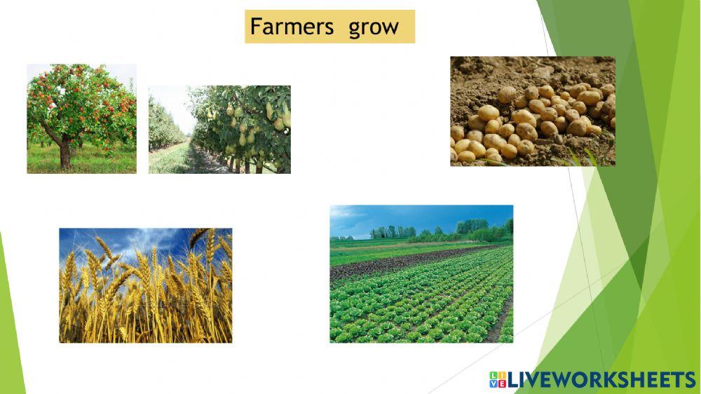 Complete Activities Hills online exercise for | Live Worksheets