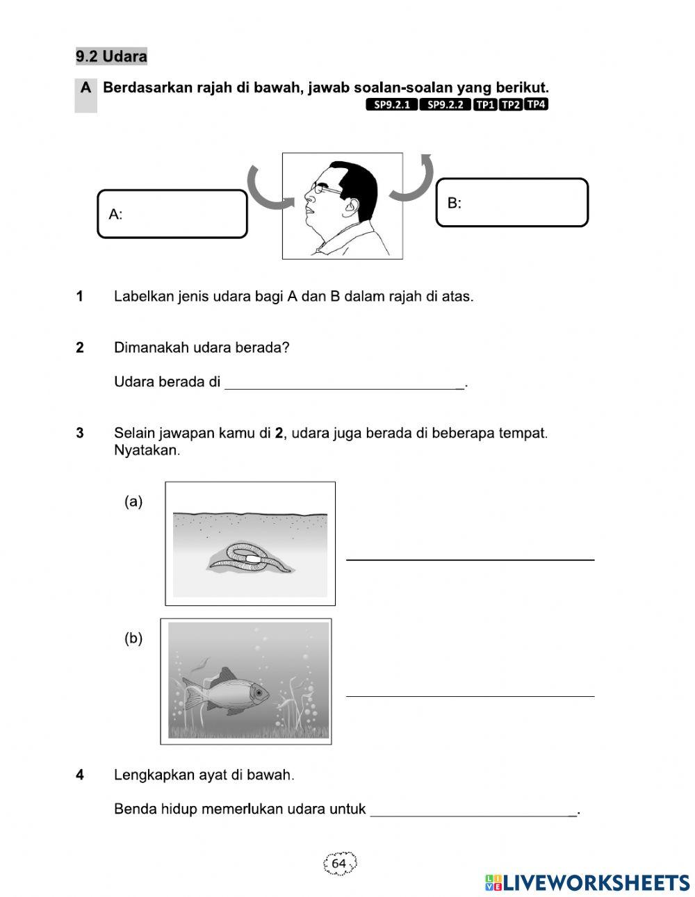Sains Tahun 2 (Bumi) online exercise for | Live Worksheets