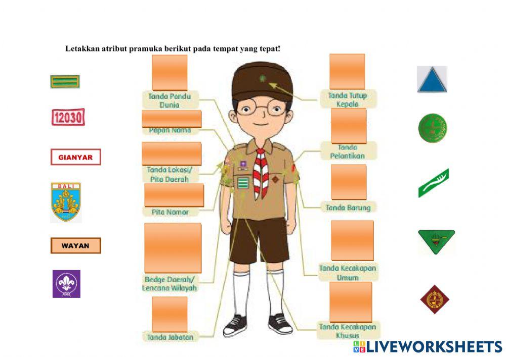 Mengenal Atribut Seragam Pramuka worksheet | Live Worksheets