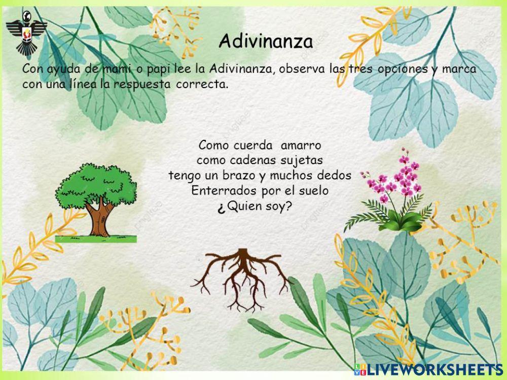 Adivinanza online activity for preescolar | Live Worksheets