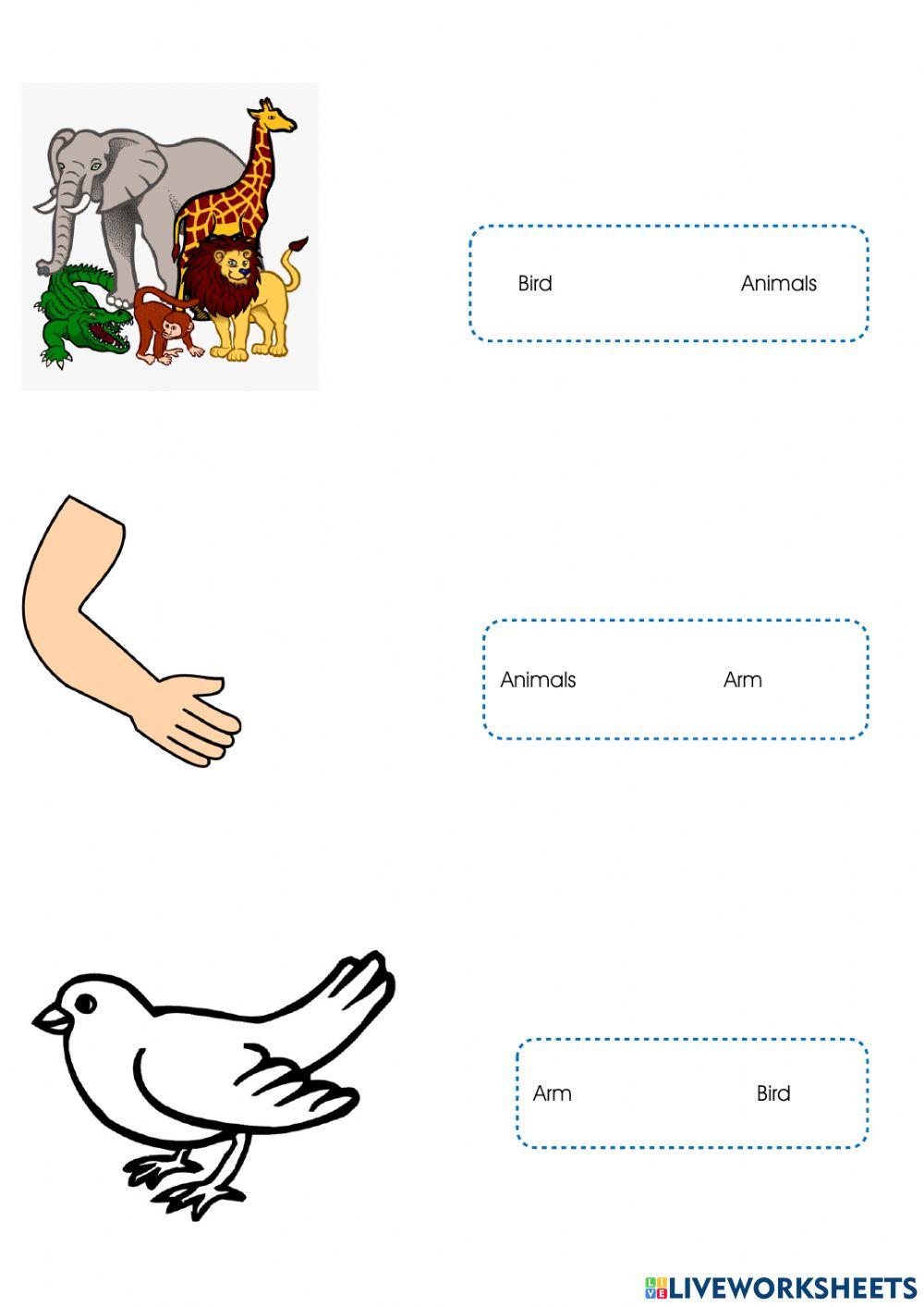 Letter A B activity | Live Worksheets
