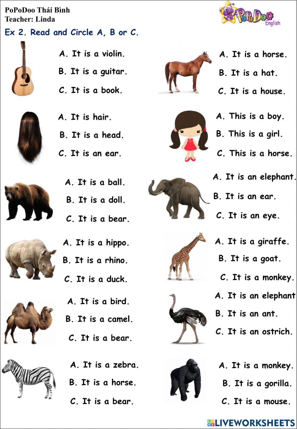 Test PSE B2: Zoo online exercise for | Live Worksheets