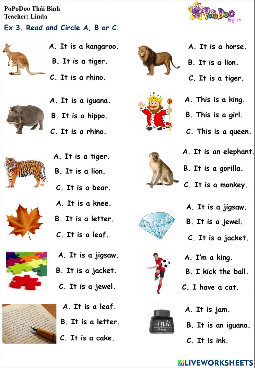 Test PSE B2: Zoo online exercise for | Live Worksheets