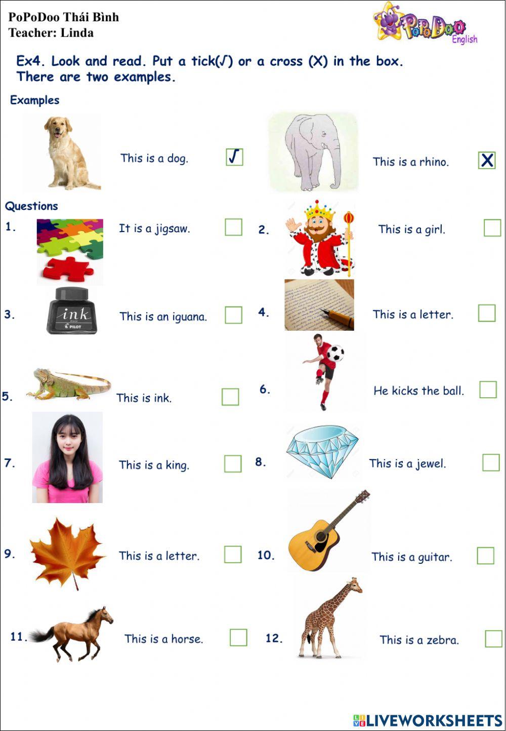 Test PSE B2: Zoo online exercise for | Live Worksheets